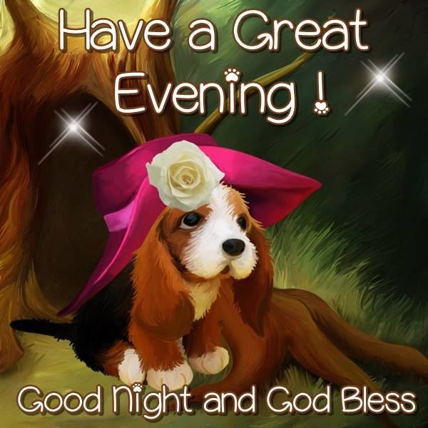 Fancy Dog Great Evening Pictures, Photos, and Images for Facebook ...