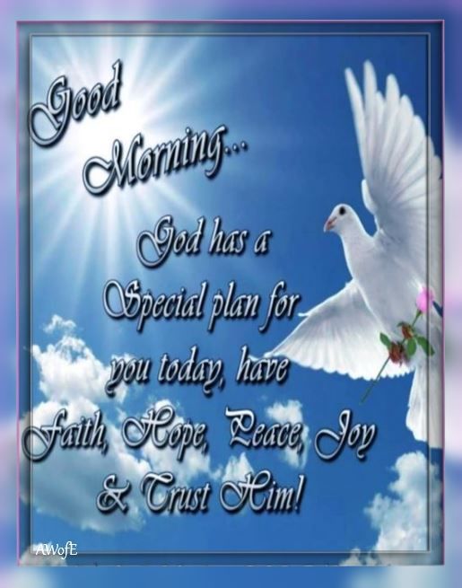 God Has A Special Plan For You Today. Good Morning Pictures, Photos ...