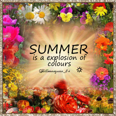Summer Is A Explosion Of Colors Pictures, Photos, and Images for ...