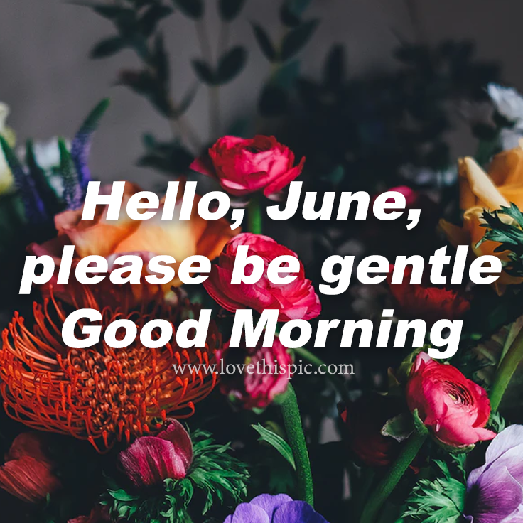 Hello, June, Please Be Gentle, Good Morning Pictures, Photos, and ...