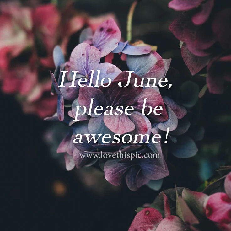 Hello June, Please Be Awesome! Pictures, Photos, and Images for ...