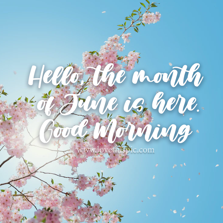 Hello, The Month Of June Is Here. Good Morning Pictures, Photos, and ...