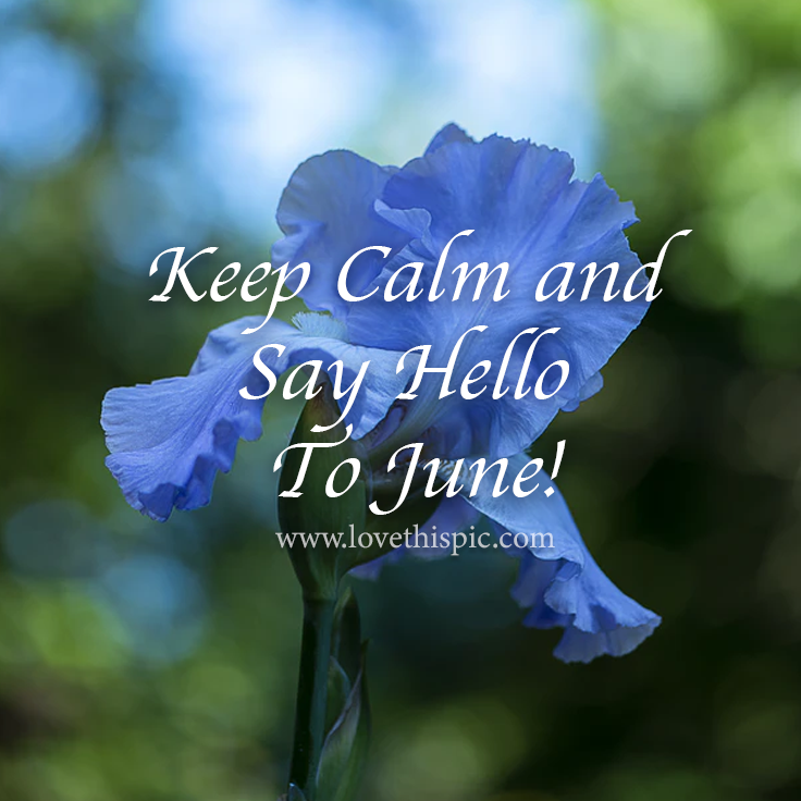 Keep Calm And Say Hello To June! Pictures, Photos, and Images for ...