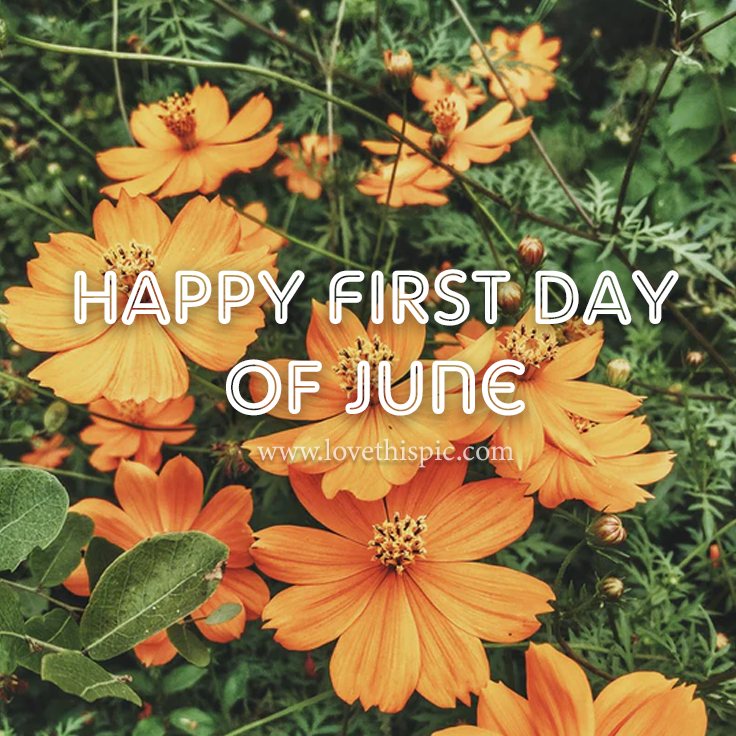 Orange Bloom - Happy First Day Of June Pictures, Photos, and Images for ...