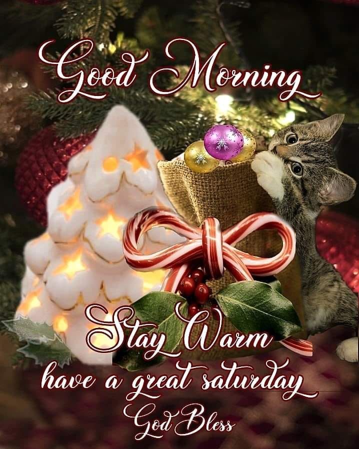 Stay Warm & Have A Great Saturday Pictures, Photos, and Images for ...