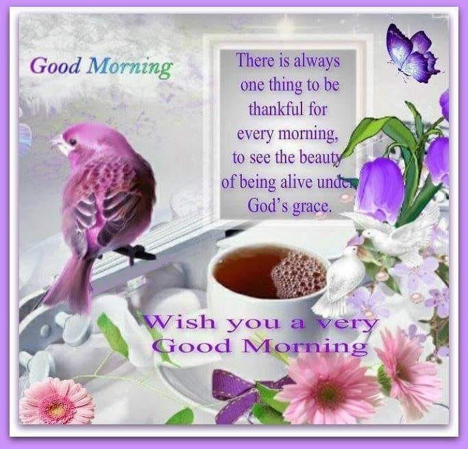 A Very Good Morning Pictures, Photos, and Images for Facebook, Tumblr ...