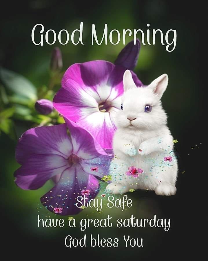 Stay Safe, Have A Great Saturday Pictures, Photos, and Images for ...