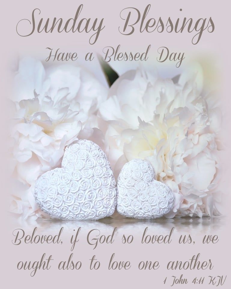 White Rose Heart - Sunday Blessings Pictures, Photos, and Images for Facebook, Tumblr, Pinterest ...