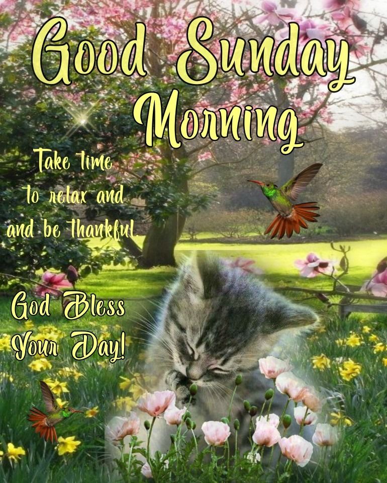 Take Time To Relax And To Be Thankful - Good Sunday Morning Pictures ...