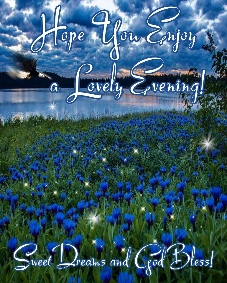 Hope You Enjoy A Lovely Evening! Pictures, Photos, and Images for ...