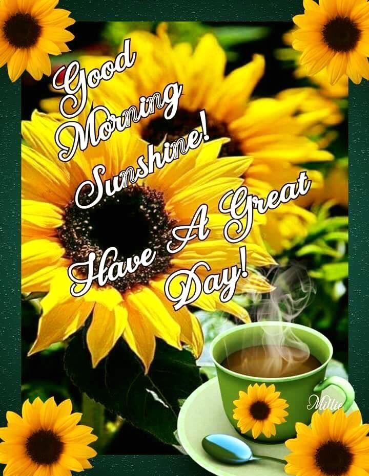 Good Morning Sunshine Pictures, Photos, and Images for Facebook, Tumblr ...