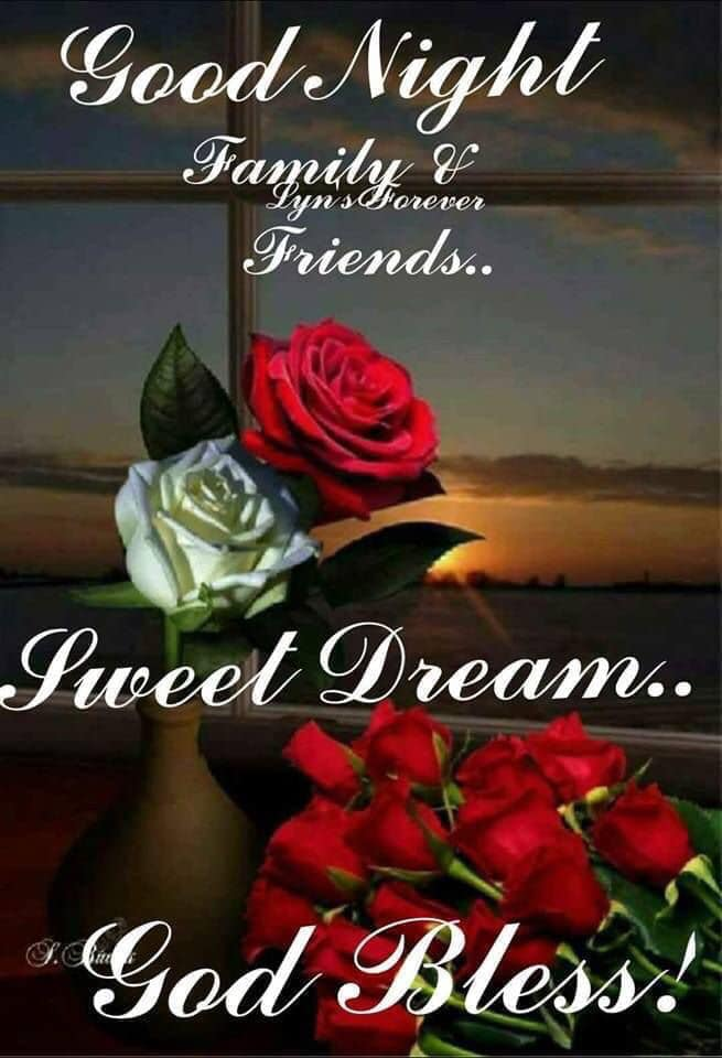 Red Rose Good Night Quote Pictures, Photos, and Images for Facebook ...