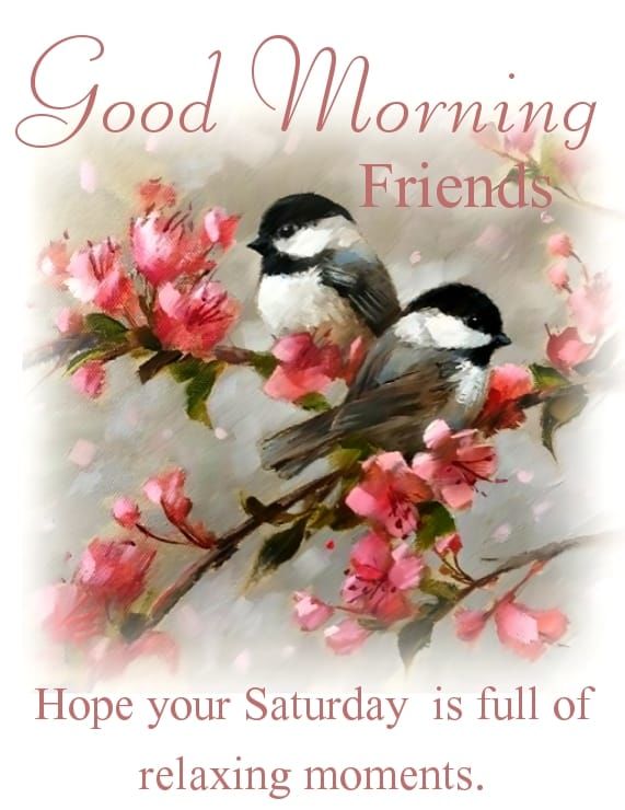 Relaxing Moments For Saturday Pictures, Photos, and Images for Facebook ...