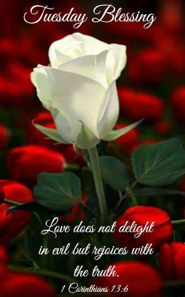 Love Does Not Delight In Evil But Rejoices With The Truth - Tuesday ...