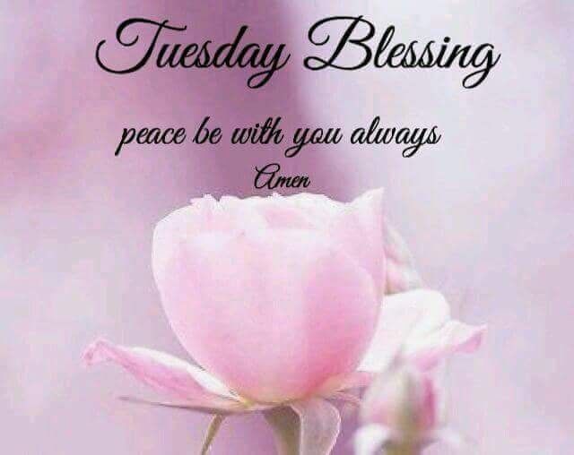 Be Peace With You Always, Tuesday Blessing Pictures, Photos, and Images ...