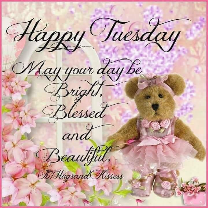 Bright, Blessed And Beautiful Tuesday Pictures, Photos, and Images for ...