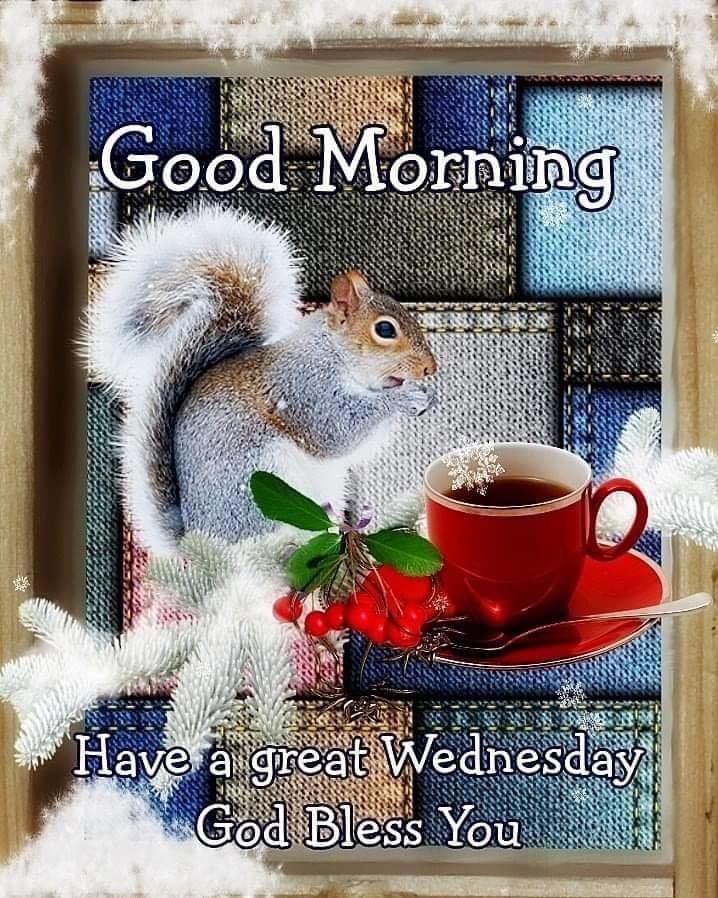 Squirrel Good Morning Great Wednesday Pictures, Photos, and Images for ...