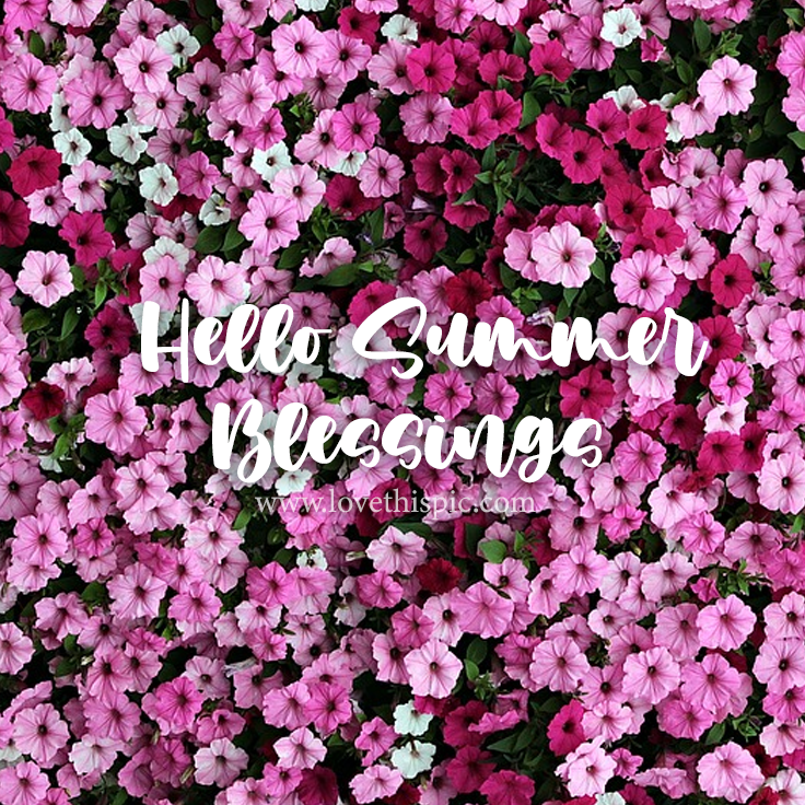 Hello Summer Blessings Pictures, Photos, and Images for Facebook ...