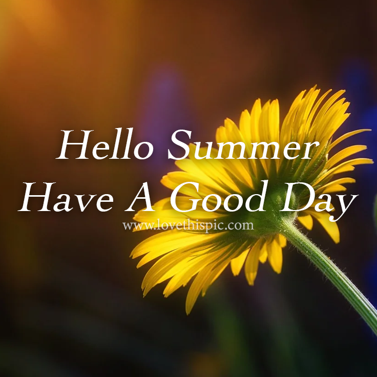 Hello Summer, Have A Good Day Pictures, Photos, and Images for Facebook ...