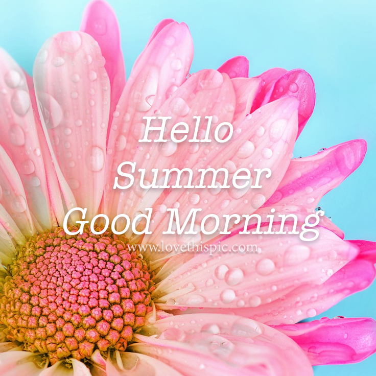 Pink Water Flower Hello Summer Good Morning Pictures, Photos, and ...