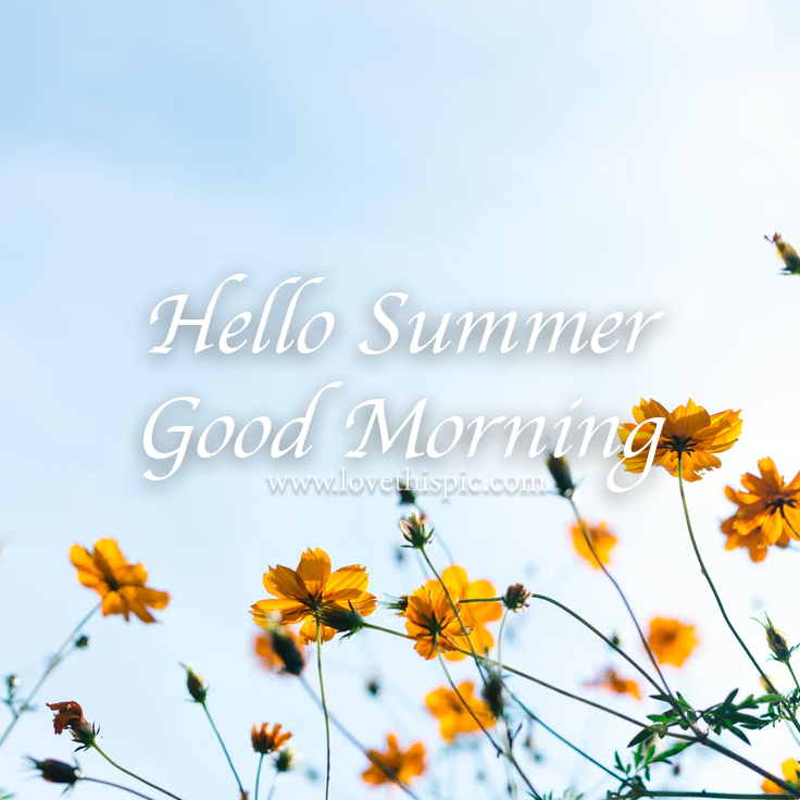 Yellow Flower Summer Good Morning Quote Pictures, Photos, and Images ...