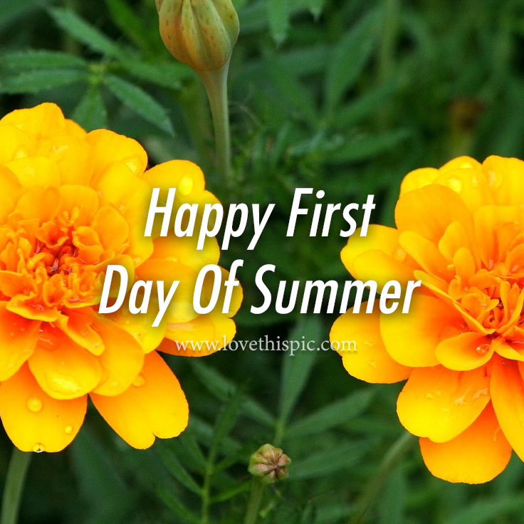Marigolds - Happy First Day Of Summer Pictures, Photos, and Images for ...
