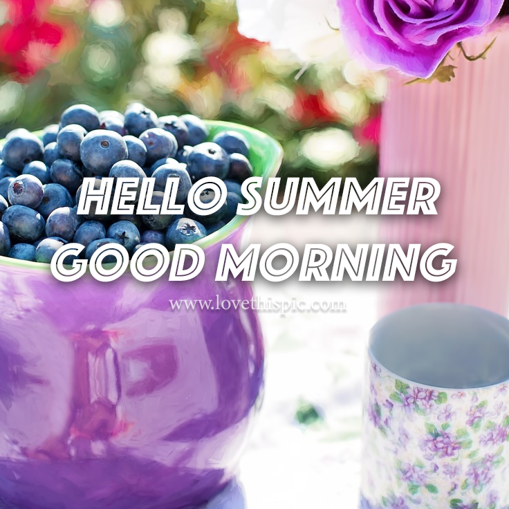 Blueberry Fruits - Hello Summer Good Morning Pictures, Photos, and ...