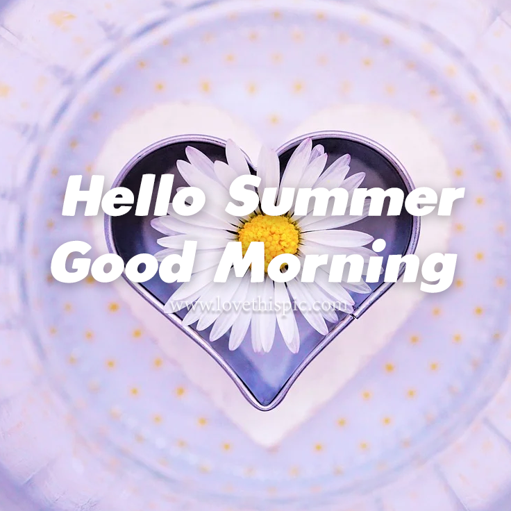 Daisy Heart - Hello Summer Good Morning Pictures, Photos, and Images ...
