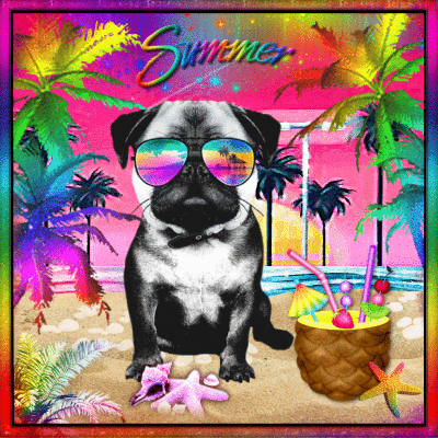 Summer Pug Pictures, Photos, and Images for Facebook, Tumblr, Pinterest ...