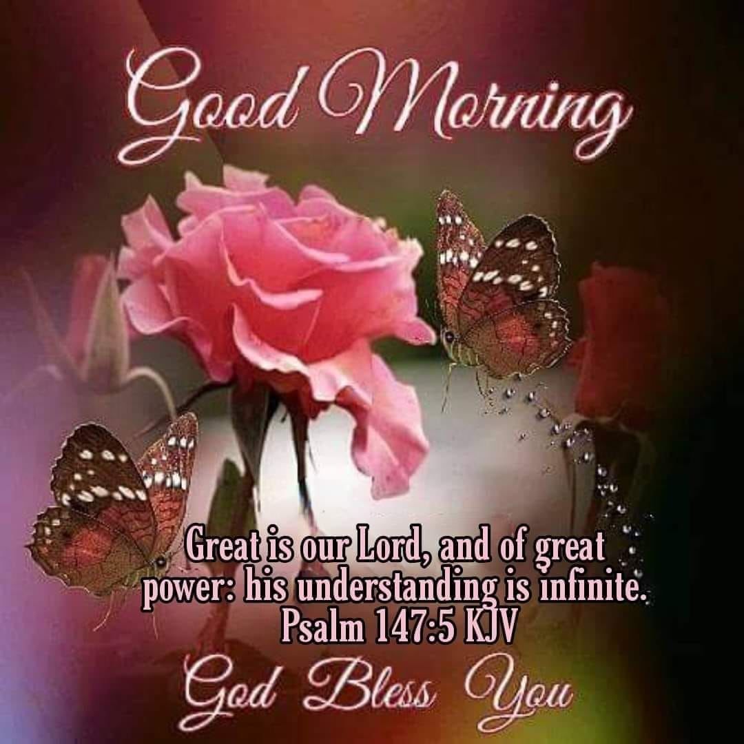 Psalm 147:5 Good Morning Quote Pictures, Photos, and Images for ...