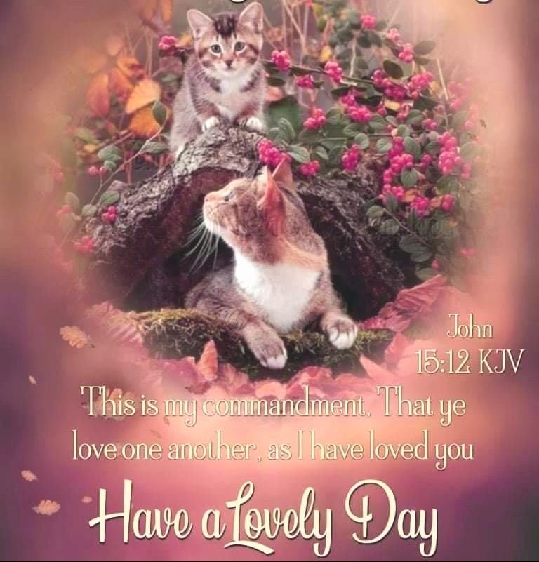 Lovely Day Wishes Pictures, Photos, and Images for Facebook, Tumblr ...