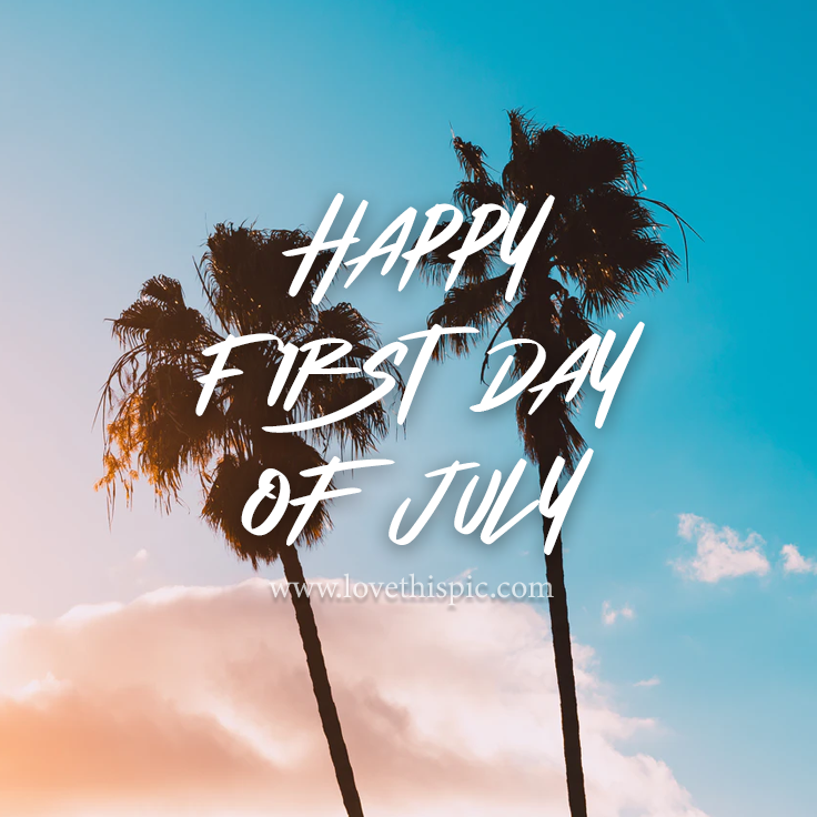 Silhouette Of Palm Trees - Happy First Day Of July Pictures, Photos ...