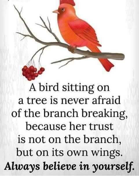 A Bird Sitting On A Tree Is Never Afraid Of Branch Breaking, Because ...