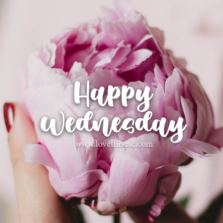 Happy Pink Wednesday