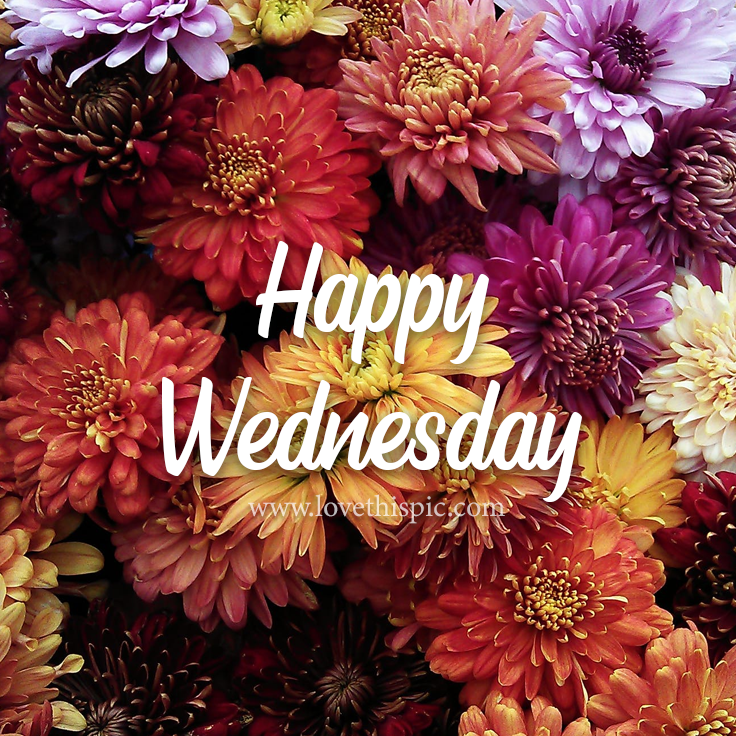 Assorted Bunch Of Flowers - Happy Wednesday Pictures, Photos, and ...