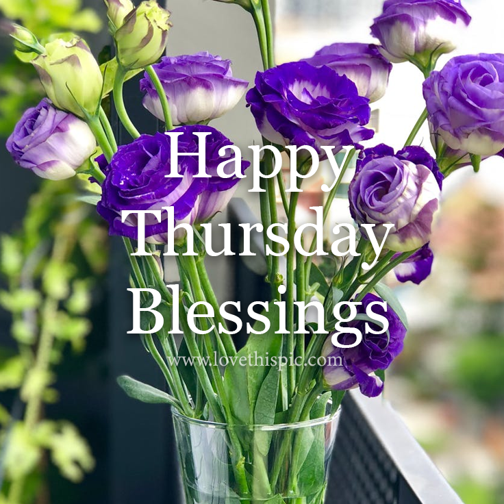 Purple Flowers Inside Vase - Happy Thursday Blessings Pictures, Photos ...