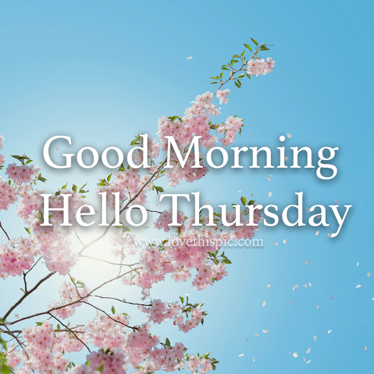 Pink Flower - Good Morning Hello Thursday Pictures, Photos, and Images ...