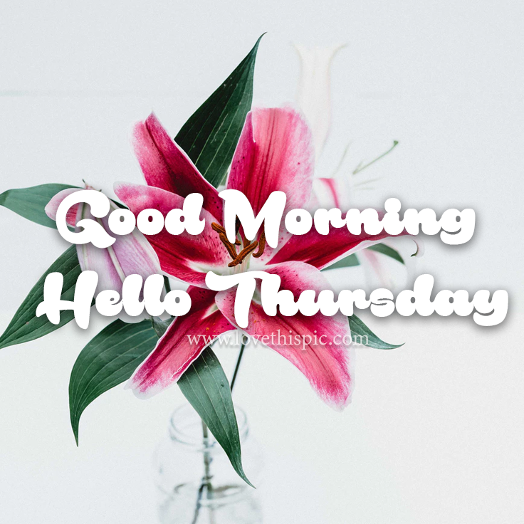 Pink & White Flower - Good Morning Hello Thursday Pictures, Photos, and ...