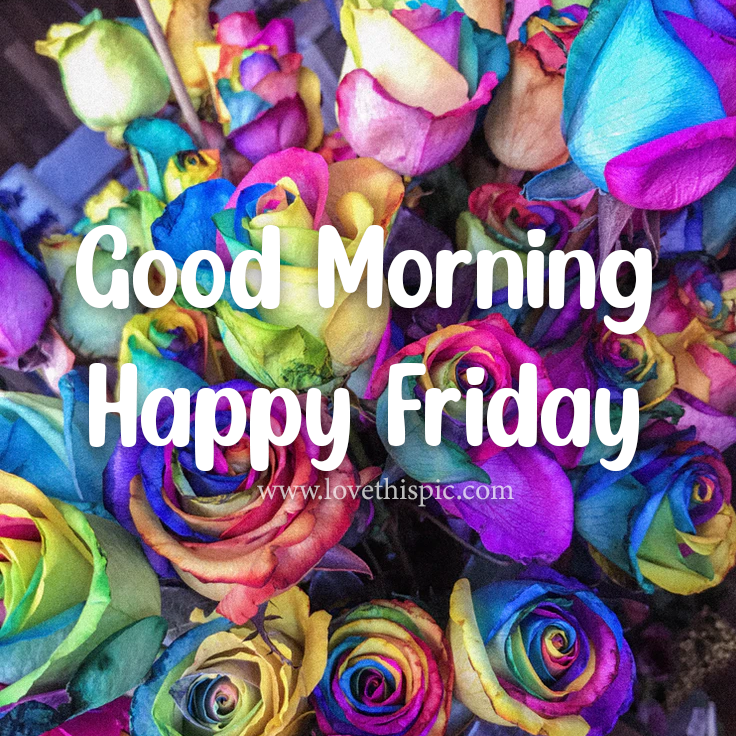 Multicolored Roses - Good Morning Happy Friday Pictures, Photos, and ...