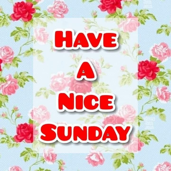 Have A Nice Sunday Pictures, Photos, and Images for Facebook, Tumblr ...