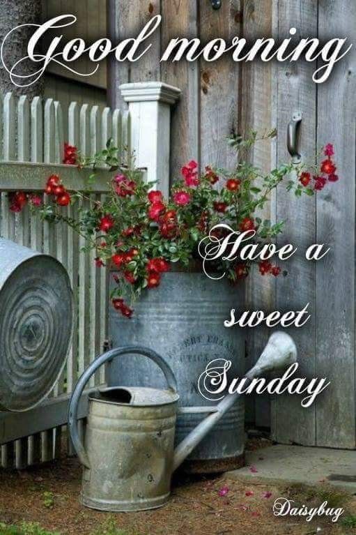 Have A Sweet Sunday, Good Morning Pictures, Photos, and Images for ...