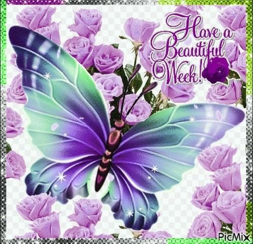 Have A Beautiful Week Pictures, Photos, and Images for Facebook, Tumblr ...
