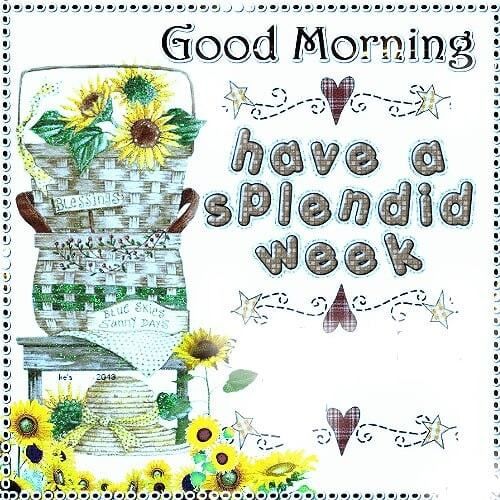 Good Morning, Have A Splendid Week Pictures, Photos, and Images for ...