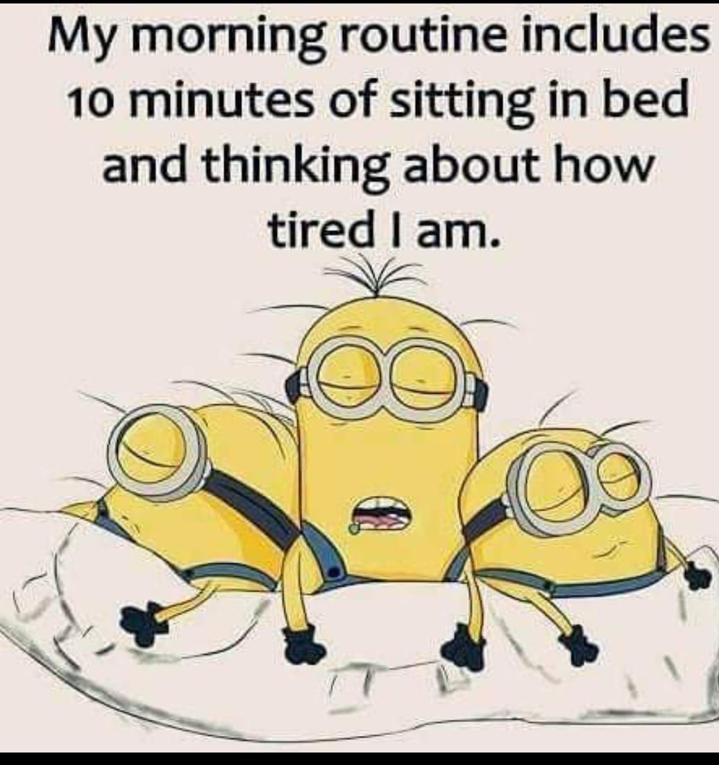 My Morning Routine Includes 10 Minutes Of Sitting In Bed And Thinking ...