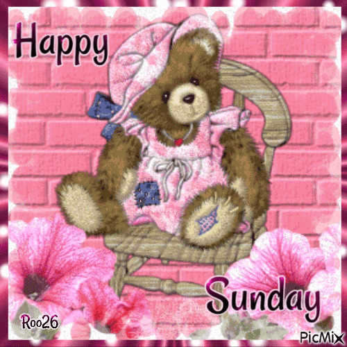 Happy Sunday Teddy Bear Pictures, Photos, and Images for Facebook ...