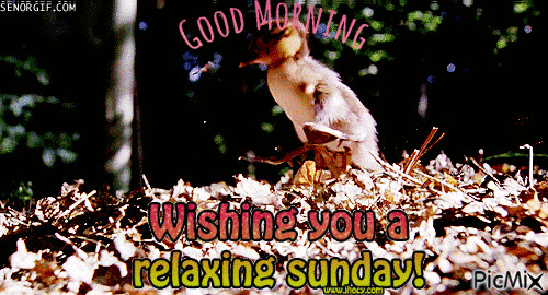 Wishing You A Relaxing Sunday Pictures, Photos, and Images for Facebook ...