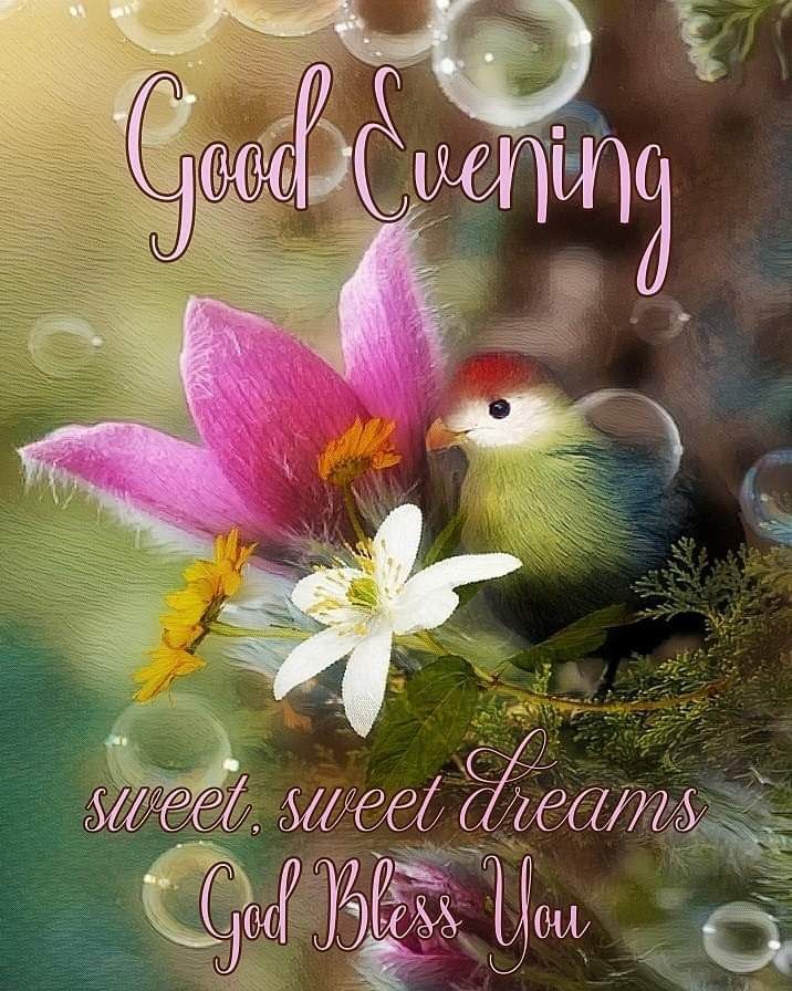 Sweet, Sweet Dreams. Good Evening Pictures, Photos, and Images for ...