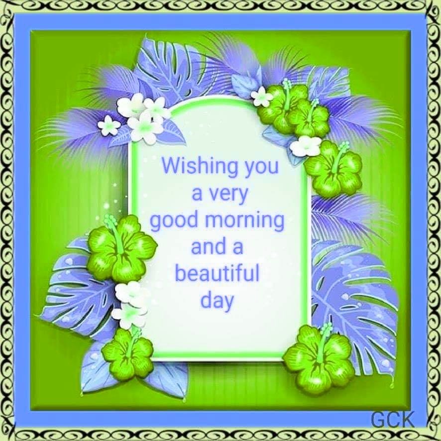Wishing You A Very Good Morning And A Beautiful Day Pictures, Photos ...