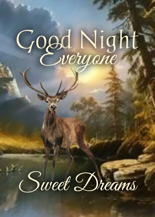 Deer - Good Night Everyone Pictures, Photos, and Images for Facebook ...