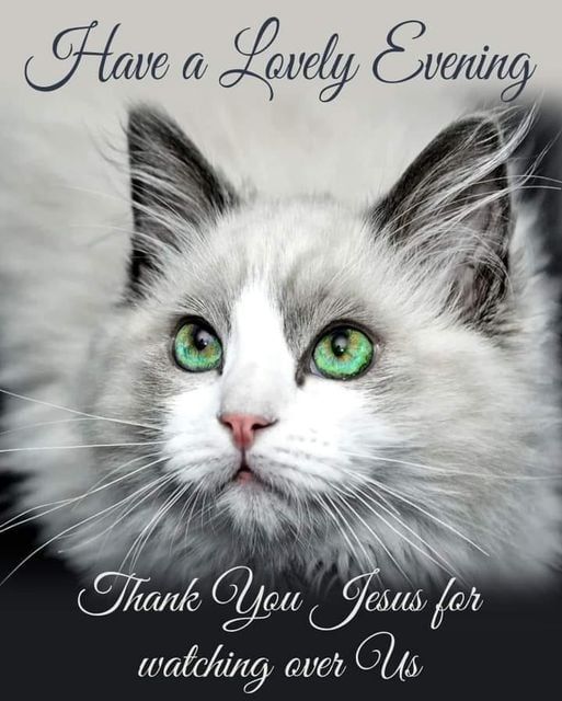Thank You Jesus For Watching Over Us - Have A Lovely Evening Pictures ...